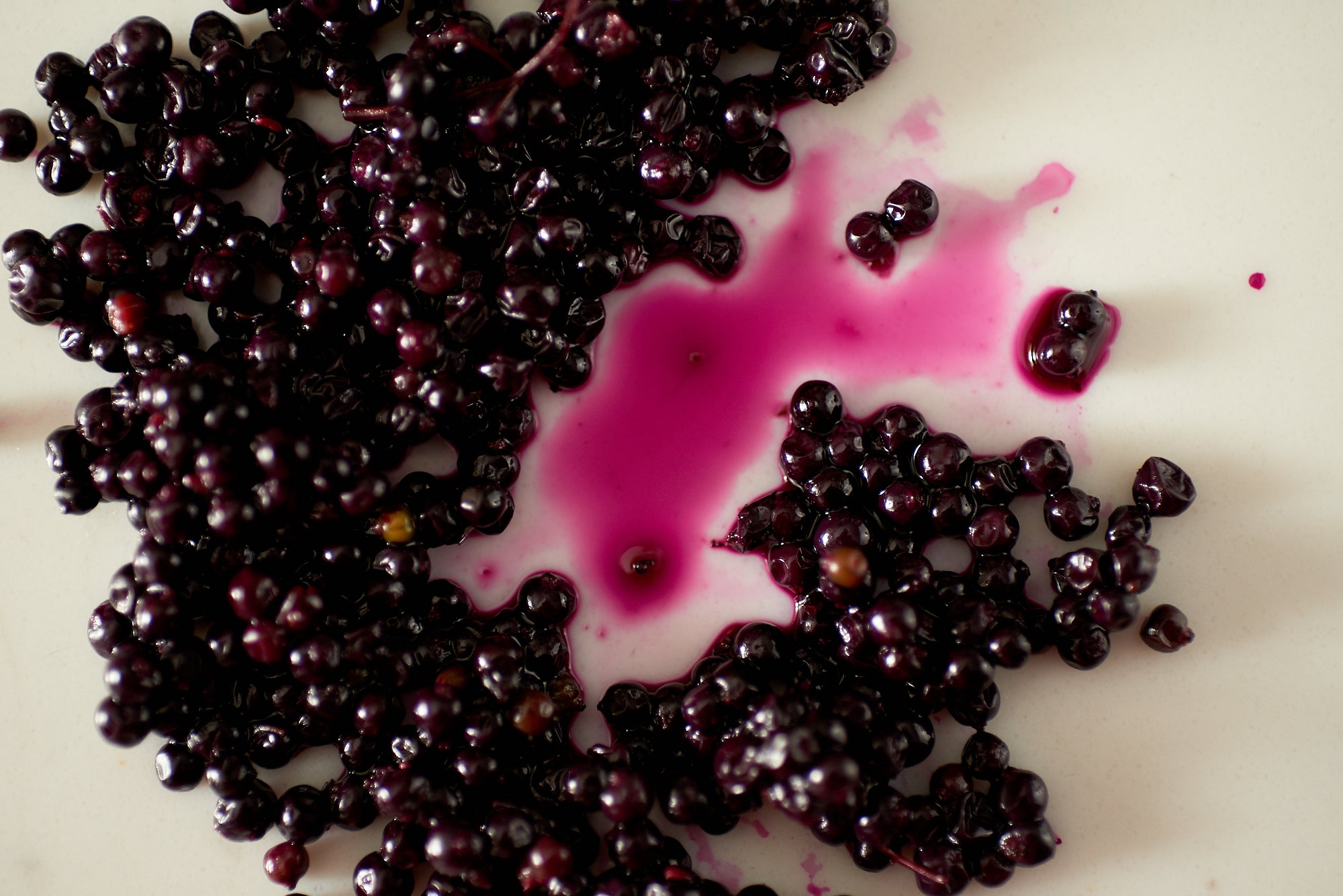 First Time Customer Bundle – All Things Elderberry